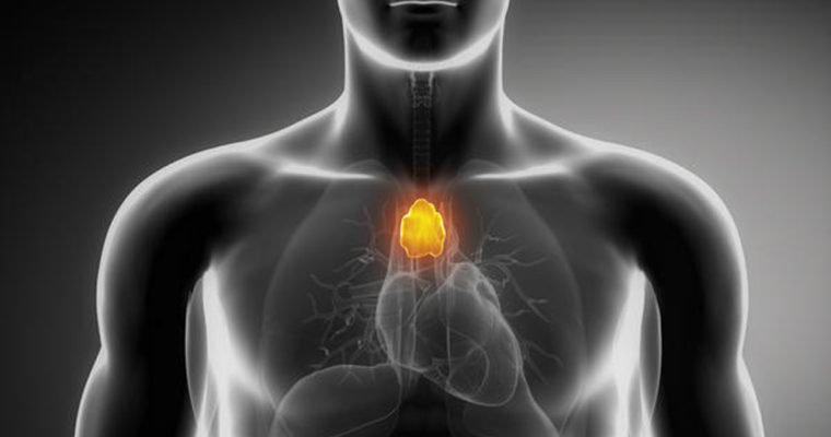 ATIVAÇÃO DO CHAKRA DO TIMO – Portal das Esmeraldas